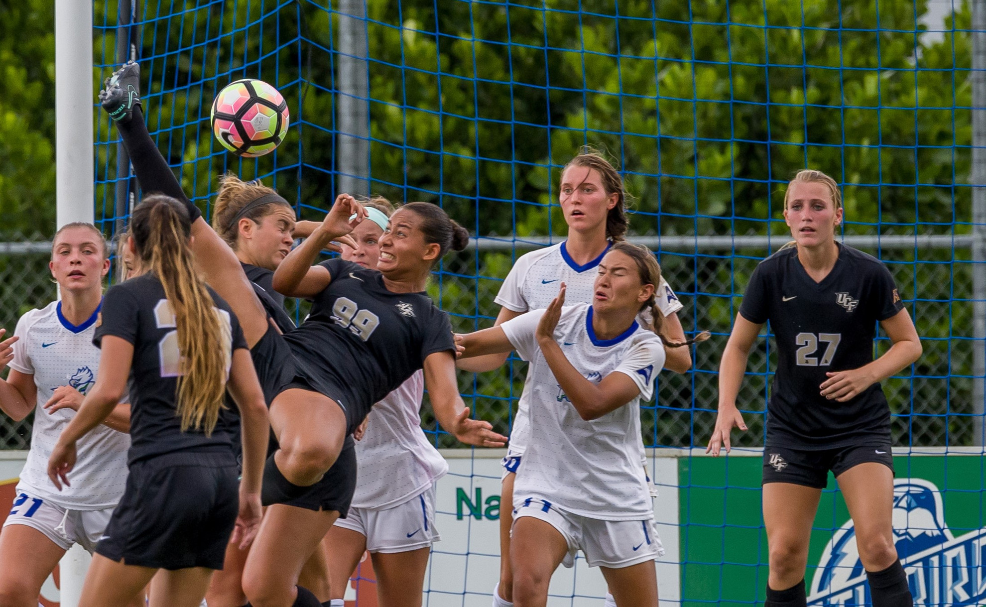 Gator Grind - UCF Athletics - Official Athletics Website