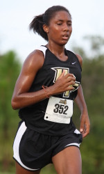 UCF Cross Country to Open Season in Tampa - UCF Athletics - Official ...
