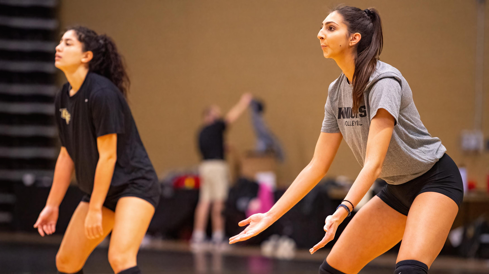 Volleyball 2023 - UCF Athletics - Official Athletics Website