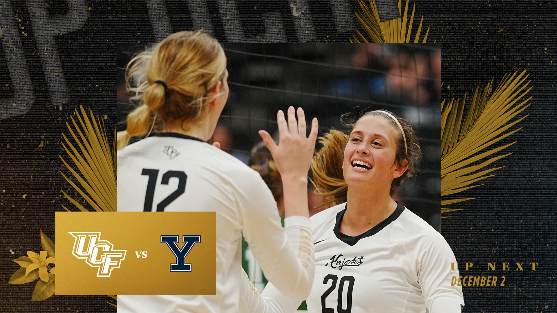 Volleyball Set to Face Yale in Round One of NCAA Tournament - UCF ...