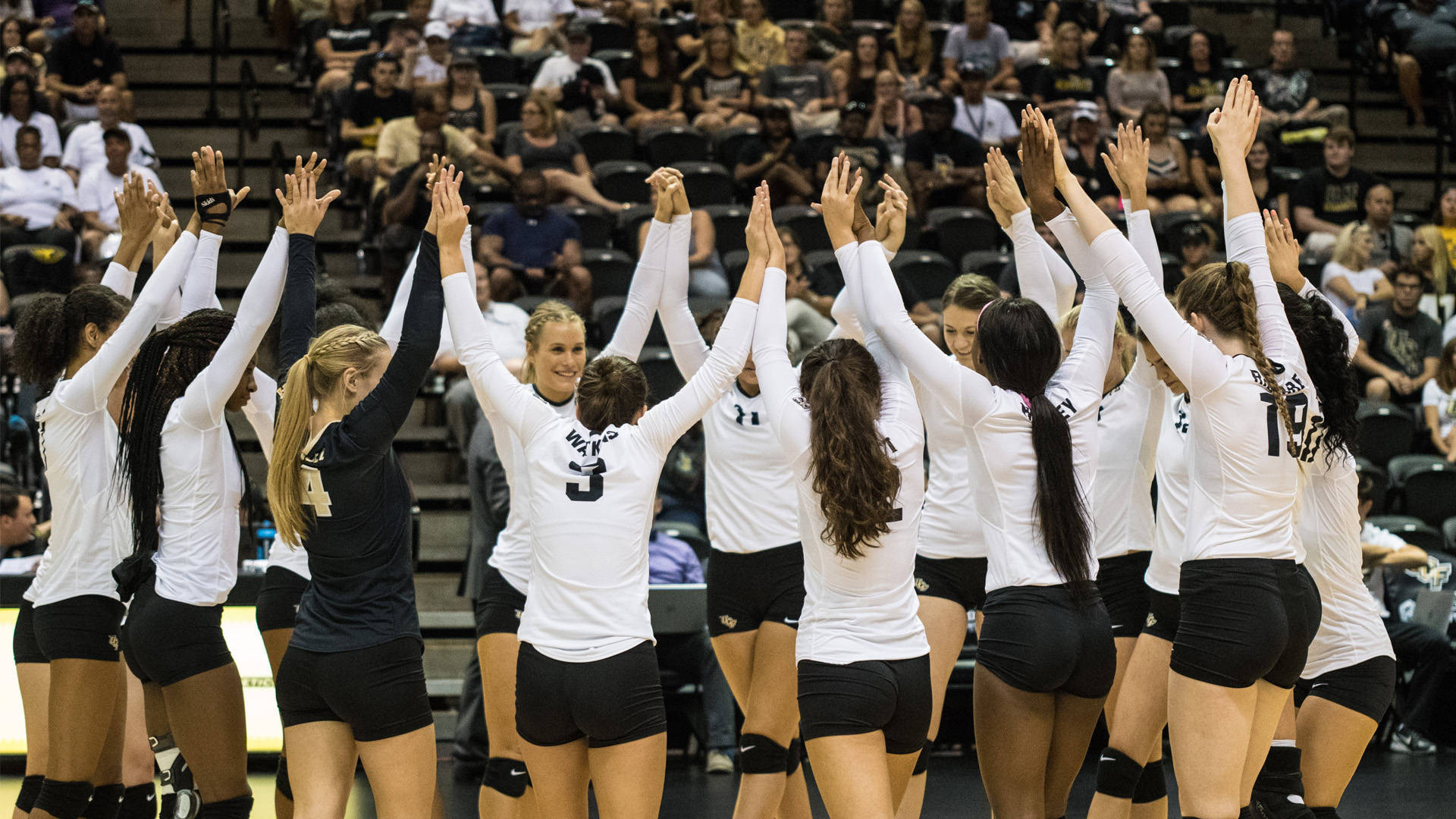 Stumped by SMU - UCF Athletics - Official Athletics Website