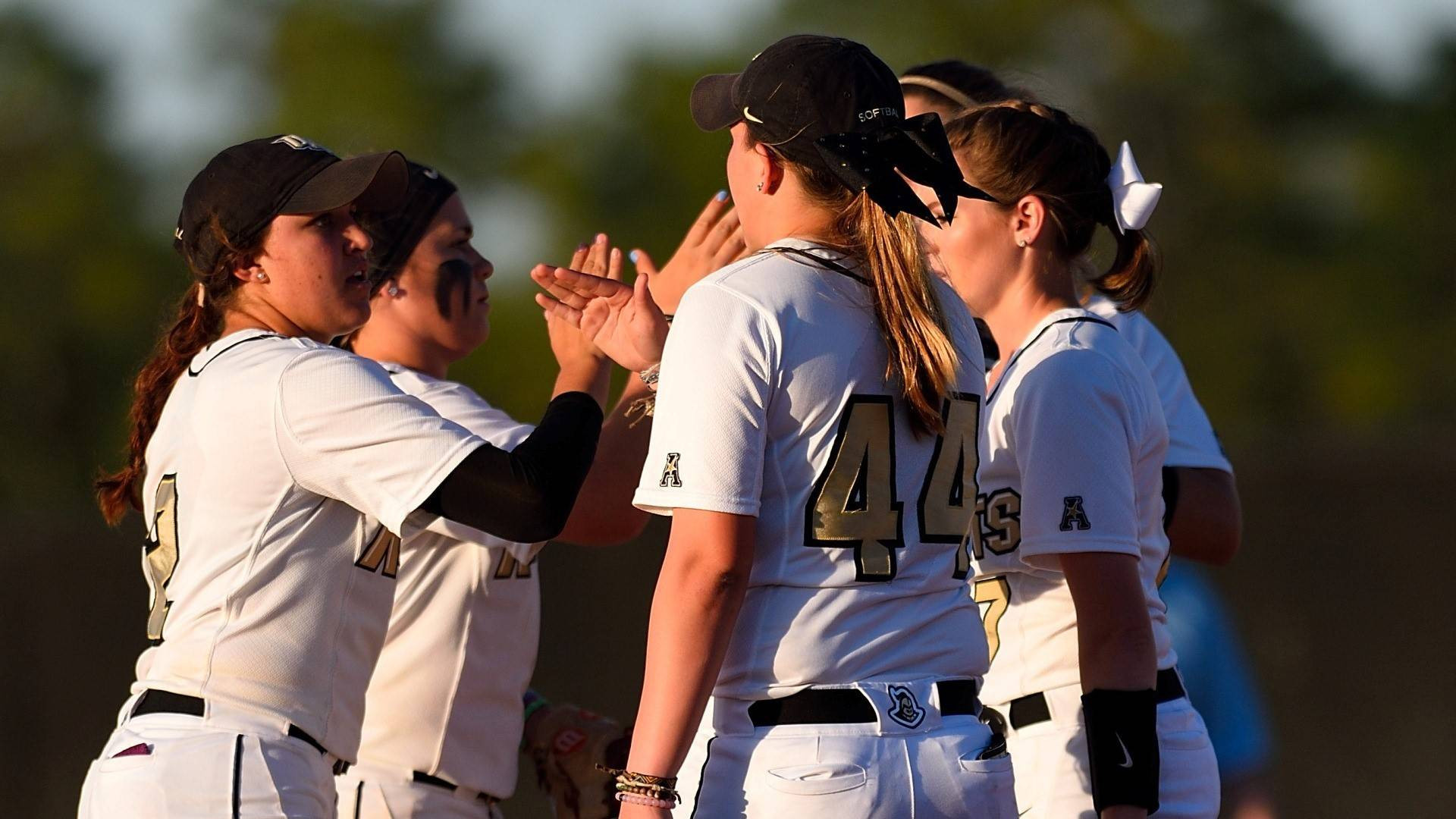 Grabbed By The Gators - UCF Athletics - Official Athletics Website