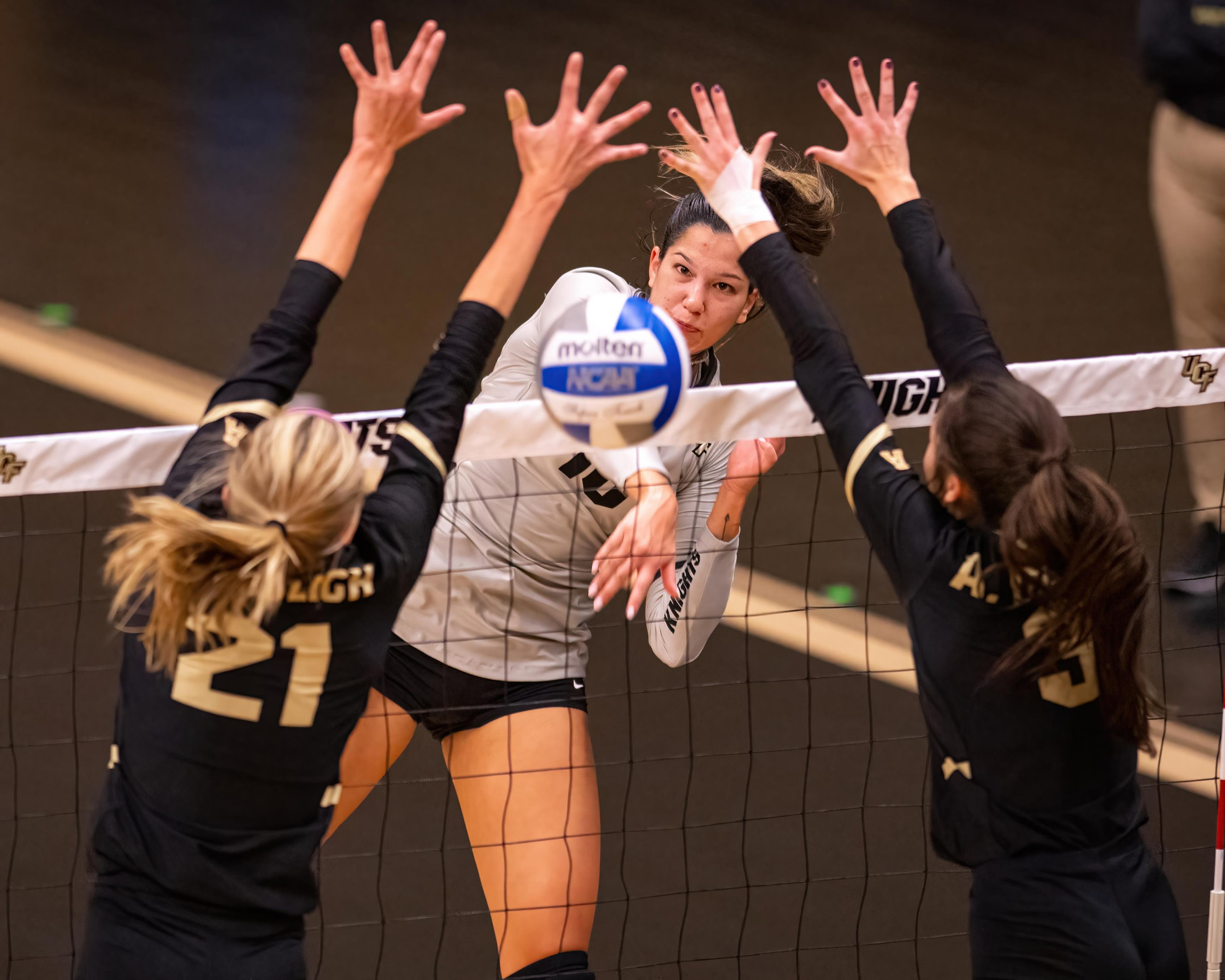 Roster Preview: Outside/Right Side Hitters - UCF Athletics - Official ...