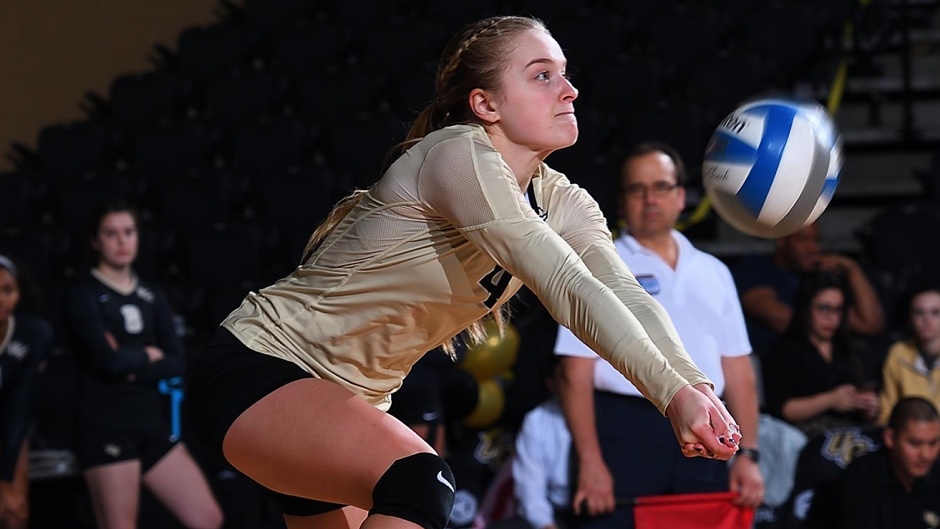 Volleyball Profile For School