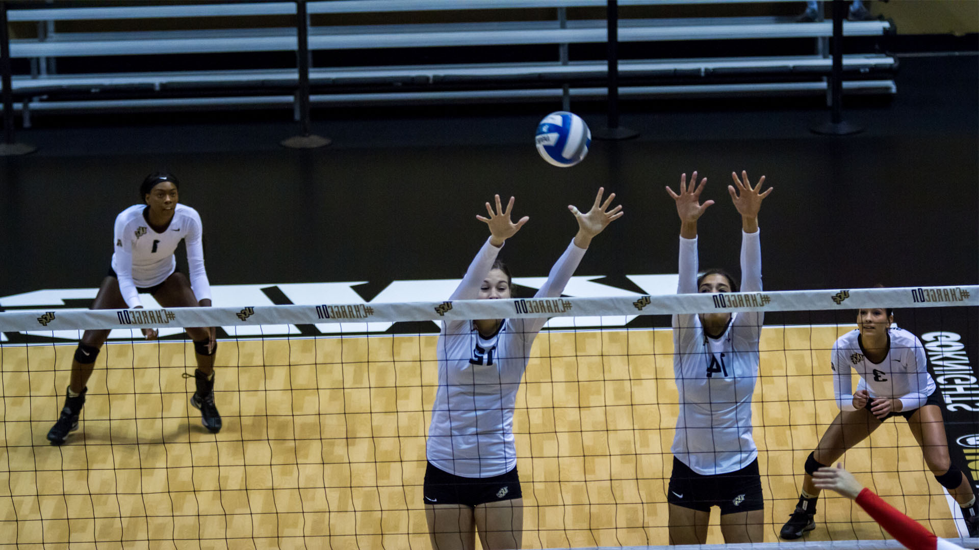 It's A Party - UCF Athletics - Official Athletics Website