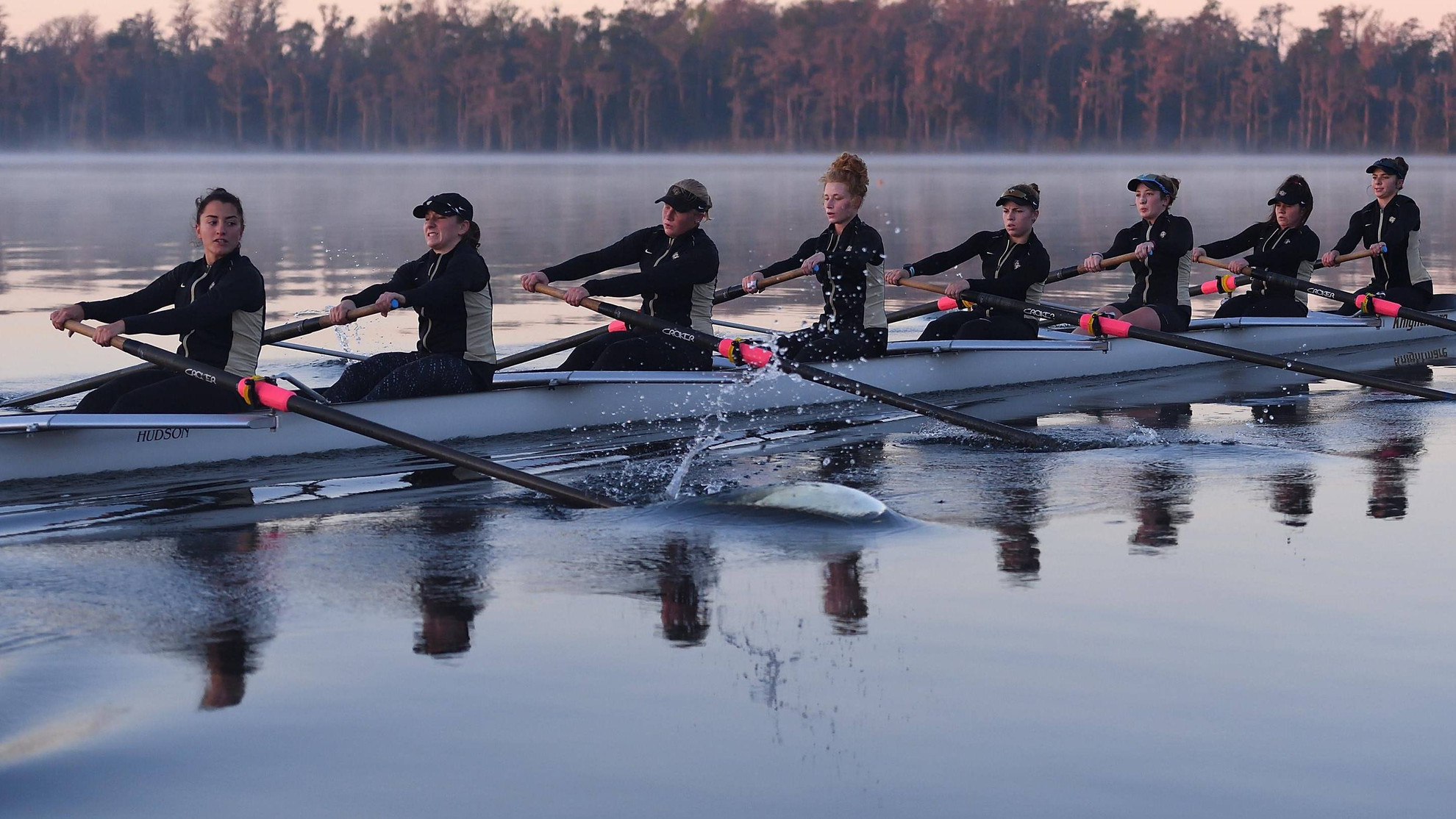 Metro Cup Victory - UCF Athletics - Official Athletics Website